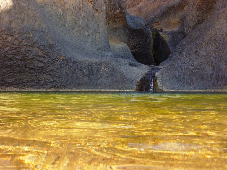 TIMIA – Ambassade du Niger en Turquie